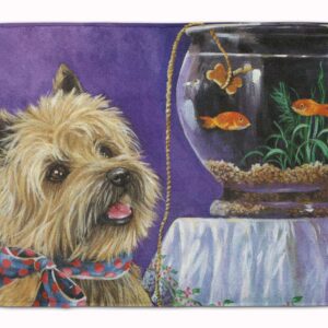 Caroline's Treasures Cairn Terrier Gone Fishing Machine Washable Memory Foam Mat doormats, Multicolor