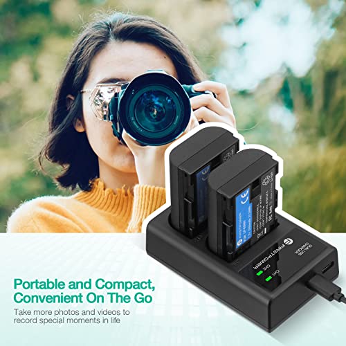 FirstPower LP-E6NH Battery and USB Dual Charger Compatible with Canon EOS R, R5, R6, 5D Mark II III IV, 5Ds, 6D, 6D Mark II, 7D, 7D Mark II, 60D, 70D, 80D, 90D Cameras and More (2-Pack, 2950mAh)