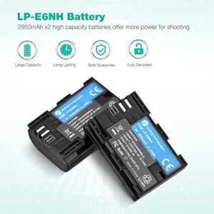 FirstPower LP-E6NH Battery and USB Dual Charger Compatible with Canon EOS R, R5, R6, 5D Mark II III IV, 5Ds, 6D, 6D Mark II, 7D, 7D Mark II, 60D, 70D, 80D, 90D Cameras and More (2-Pack, 2950mAh)