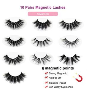 DAODER Magnetic Eyelashes Magnetic Lashes with 4 Tubes Eyeliner Kit 6 Magnets Natural Dramatic Lashes Mixed Wispy Long False Eyelashes Reusable 10 Pairs