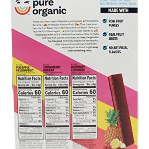 Pure Organic Layered Fruit Bars Variety Pack 28 count (Pack of 1).