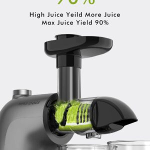 Efficient Masticating Juicer, Easy-to-Clean Cold Press Machine with Reverse Function, High Yield, BPA-free, Enjoy Fast Juice Experience for Nutrient-Rich Fruits & Veggies, Green