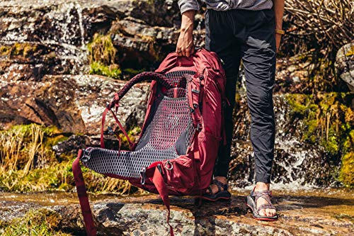 Gregory Mountain Products Kalmia 60 Backpacking Backpack, Bordeaux Red, XS/SM Plus (139219-1126)