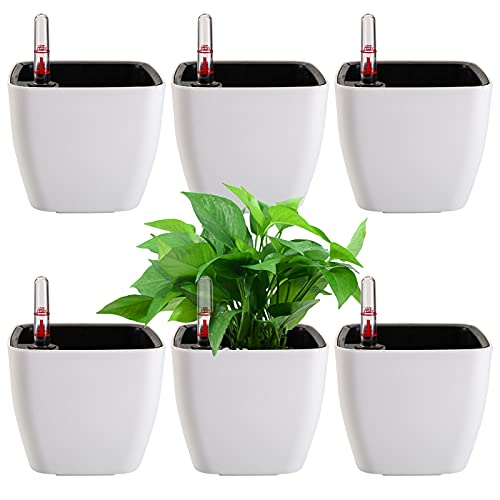 yarlung 6 Pack Self Watering Planter with Water Level Indicator, 5 Inch Plastic Plant Flower Pots Nested Container for Indoor Plants, Herbs, Aloe, Outdoor Gardening