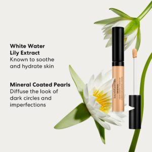 bareMinerals Original Liquid Mineral Concealer, Brightening Dark Circle Eye Concealer, Reduces Look of Fine Lines, Buildable Coverage, Vegan