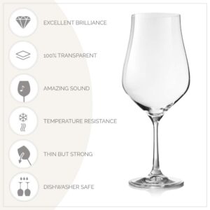 Crystalex Wine Glasses Set Of 6, Stemmed Crystal Port Red & White Wine Glass Set, 100% Lead-Free Glass (550 ML)