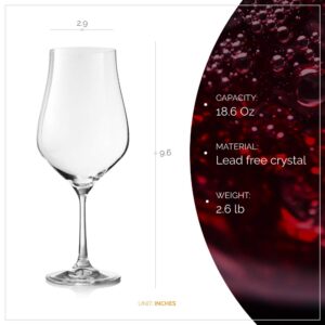 Crystalex Wine Glasses Set Of 6, Stemmed Crystal Port Red & White Wine Glass Set, 100% Lead-Free Glass (550 ML)