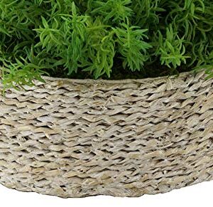 House of Silk Flowers Faux Rosemary Grass in Large Seagrass Tray Basket (White-Wash Seagrass)