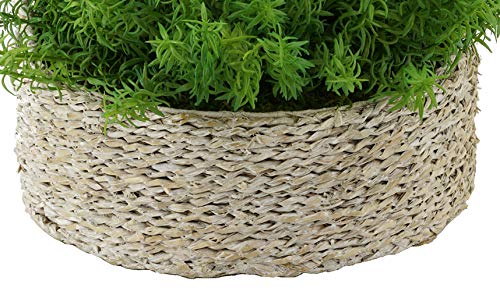 House of Silk Flowers Faux Rosemary Grass in Large Seagrass Tray Basket (White-Wash Seagrass)