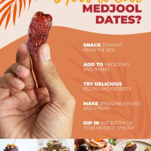 Natural Delights Medjool Dates – Large & Plump, Pitted Dates Medjool, Non-GMO Verified, Pesticide Free, Naturally Sweet Fruit Snack, Perfect for On-the-Go - Medjool Dates Pitted, 12 oz Container