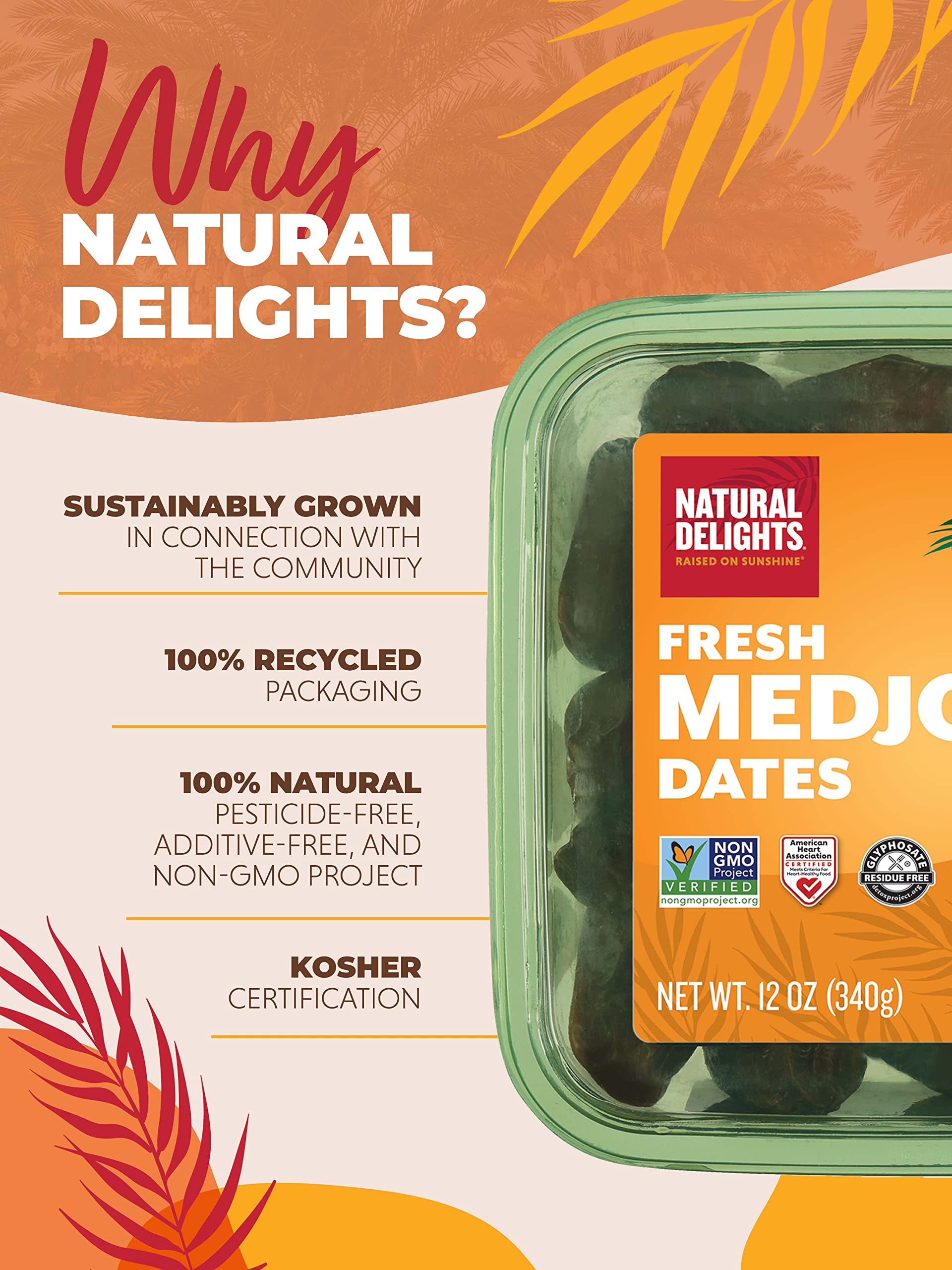 Natural Delights Medjool Dates – Large & Plump, Pitted Dates Medjool, Non-GMO Verified, Pesticide Free, Naturally Sweet Fruit Snack, Perfect for On-the-Go - Medjool Dates Pitted, 12 oz Container