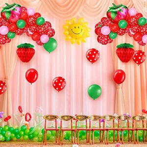 Strawberry Birthday Party Decorations Strawberry Party Balloons Arch Garland Decorations Paper Honeycomb Ball Baby Shower Foil Balloon Decoration Kit for Party (Red, Pink, Green)