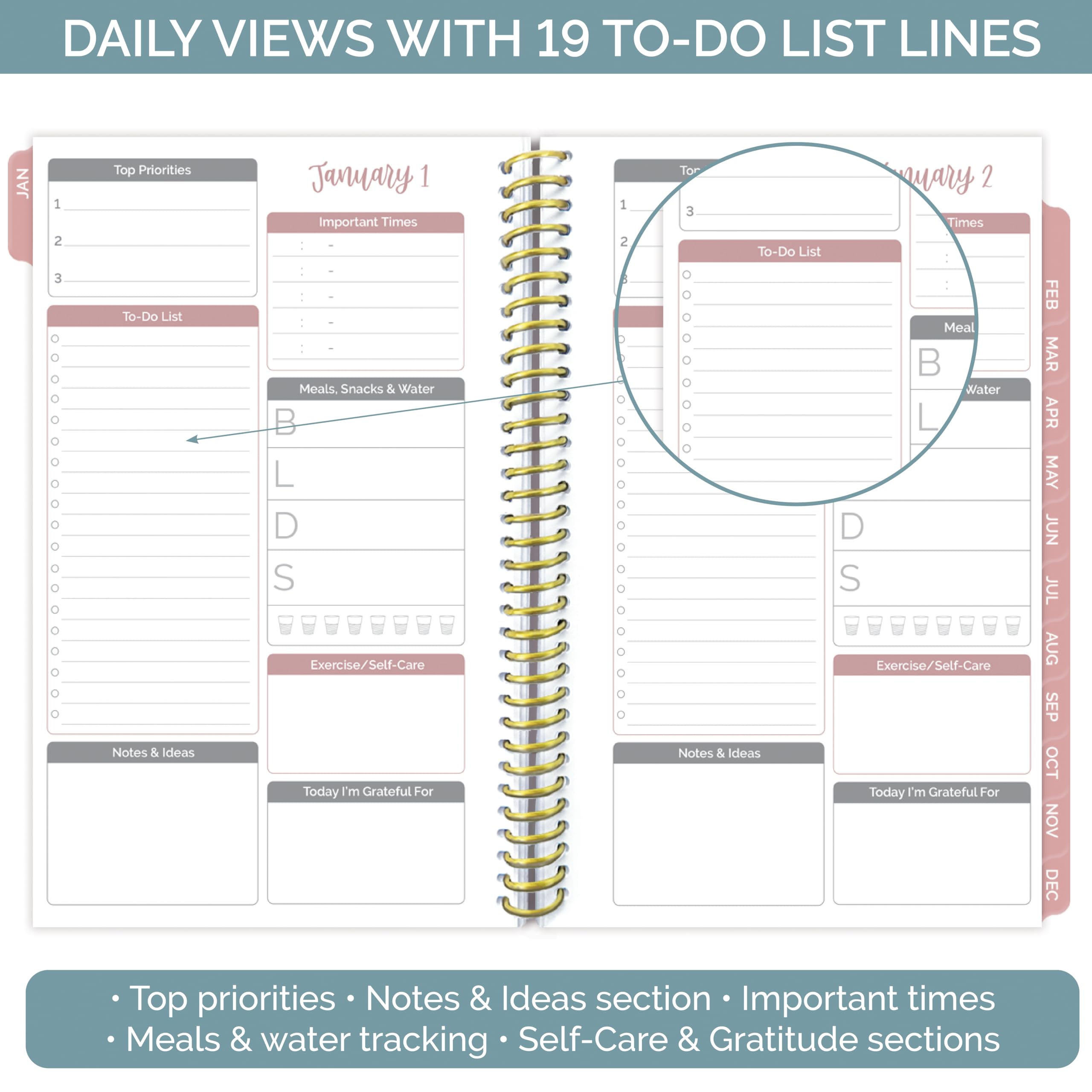 bloom daily planners New UNDATED Hardcover Calendar & Daily Bound To Do List Spiral Notebook - Notes, Goals, to Do's Planning System - 8.25" x 6.5" - Daydream Believer