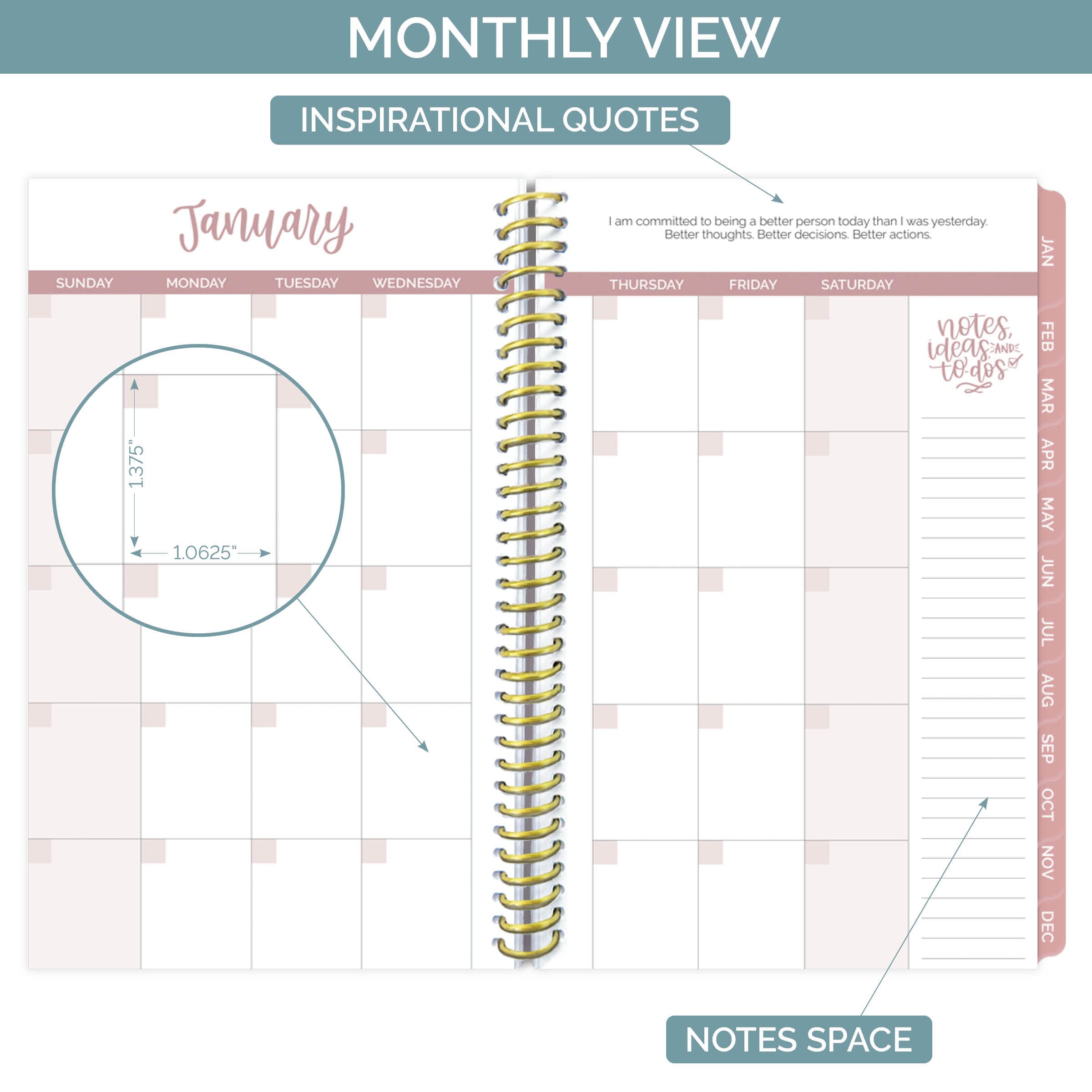 bloom daily planners New UNDATED Hardcover Calendar & Daily Bound To Do List Spiral Notebook - Notes, Goals, to Do's Planning System - 8.25" x 6.5" - Daydream Believer