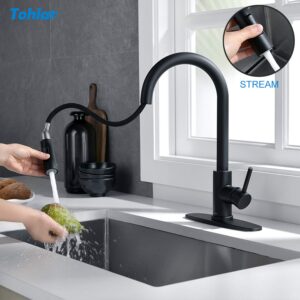 Tohlar Black Kitchen Faucets with Pull-Down Sprayer Single Handle Kitchen Faucet, Modern Stainless Steel Kitchen Sink Faucet with Deck Plate