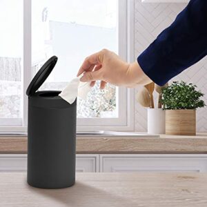 Spectrum Decorative Disinfecting Wipes Container (Black) - Refillable Dispenser for Bathroom, Kitchen, Classroom, Countertop, & Home Storage / Stainless Steel & Rust-Resistant