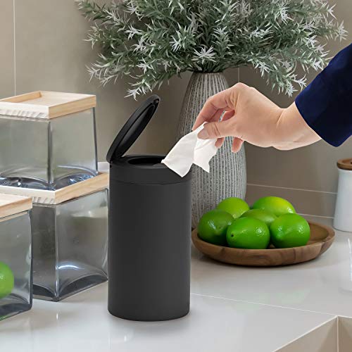 Spectrum Decorative Disinfecting Wipes Container (Black) - Refillable Dispenser for Bathroom, Kitchen, Classroom, Countertop, & Home Storage / Stainless Steel & Rust-Resistant