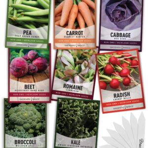 Gardeners Basics, Winter Fall Vegetable Seeds for Planting 8 Varieties Sugar Snap Pea, Carrot, Beet, Radish, Lettuce, Broccoli, Kale, Cabbage Seed Fall Vegetable Seeds Packs