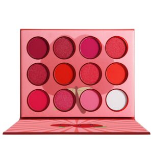 Red Pink Eyeshadow Palette, DE’LANCI Professional Matte Shimmer High Pigmented 12 Colors Eye Shadow Makeup Pallet, Waterproof Blendable Small and Cute Eye Shadow Makeup Pallete, Vegan and Cruelty Free