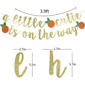 A Little Cutie Is On The Way Banner, Citrus Banner, Orange Theme Birthday, Cutie Baby Shower, Little Cutie Birthday Party Decor