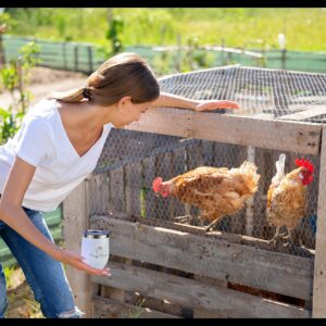 Crazy Chicken Lady - Stainless Steel Stemless Wine Glass - Crazy Chicken Lovers Gifts