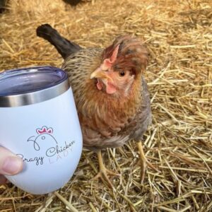 Crazy Chicken Lady - Stainless Steel Stemless Wine Glass - Crazy Chicken Lovers Gifts