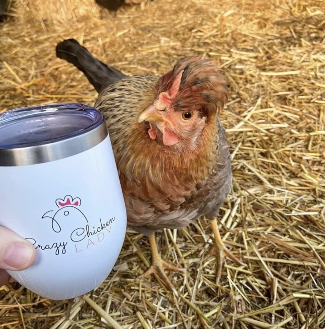 Crazy Chicken Lady - Stainless Steel Stemless Wine Glass - Crazy Chicken Lovers Gifts