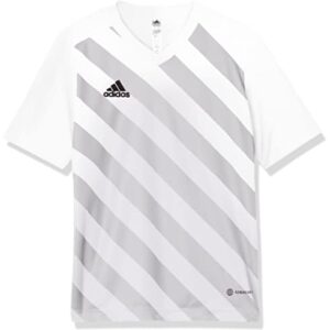 adidas Kids' Entrada 22 Graphic Jersey, White/Team Light Grey, Large