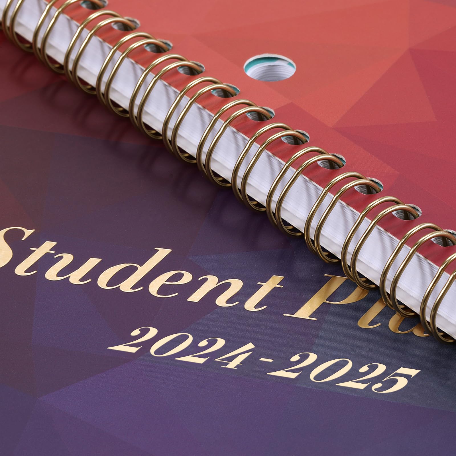 Student Planner 2024-2025 - School Planner, July 2024- June 2025, 8.5" x 11", 2024-2025 Student Planner/Academic Planner with 3-Hole Punched