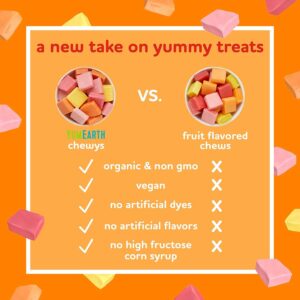 YumEarth Organic Chewys - Allergy Friendly, Non GMO, Gluten Free, Vegan, 5 ounce, 2 Pack with Variety Box Mints!