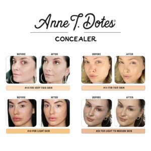 theBalm Anne T. Dotes Concealer #22, 22 (For Light to Medium Skin), 0.32 oz.