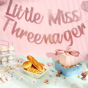 JOYMEMO Rose Gold Glitter Little Miss Threenager Banner Garland for Baby Girls Third Birthday Decorations 3 Year Old 3rd Birthday Party Supplies