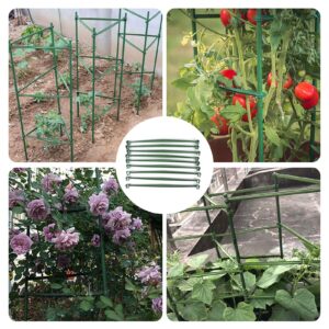 30PCS Stake Arms for Tomato Cage，Expandable Trellis Connectors-11.8" with 2 Buckles for Tomato Cage Attach 11mm Diameter Plant Stakes