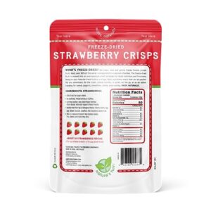 Nature's Turn Freeze-Dried Fruit Snacks, Strawberry Crisps, Pack of 6 (0.53 oz Each)