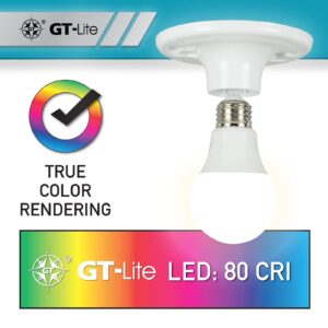 GT-Lite 10-Pack Soft White LED Light Bulbs, Replacement for 60-watt Incandescent uses only 9-watts, 3000K, A19 Shape, E26 Medium Base, Standard Household Lightbulb for Lamps, Living Room, bedrooms