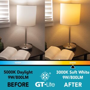 GT-Lite 10-Pack Soft White LED Light Bulbs, Replacement for 60-watt Incandescent uses only 9-watts, 3000K, A19 Shape, E26 Medium Base, Standard Household Lightbulb for Lamps, Living Room, bedrooms