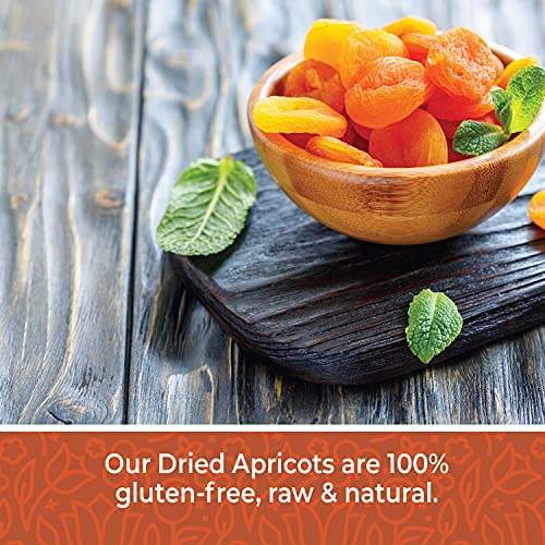 Dried Apricots No Sugar Added, 1 Pound. Dried Apricots Unsweetened, Turkish Apricots Dried Fruit, Dry Apricot Bulk, All Natural, Non-GMO.