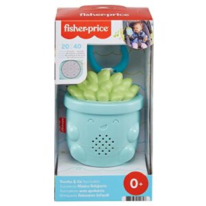 Fisher-Price Portable Baby Sound Machine Soothe & Go Succulent with Customizable Music & Timers for Newborns