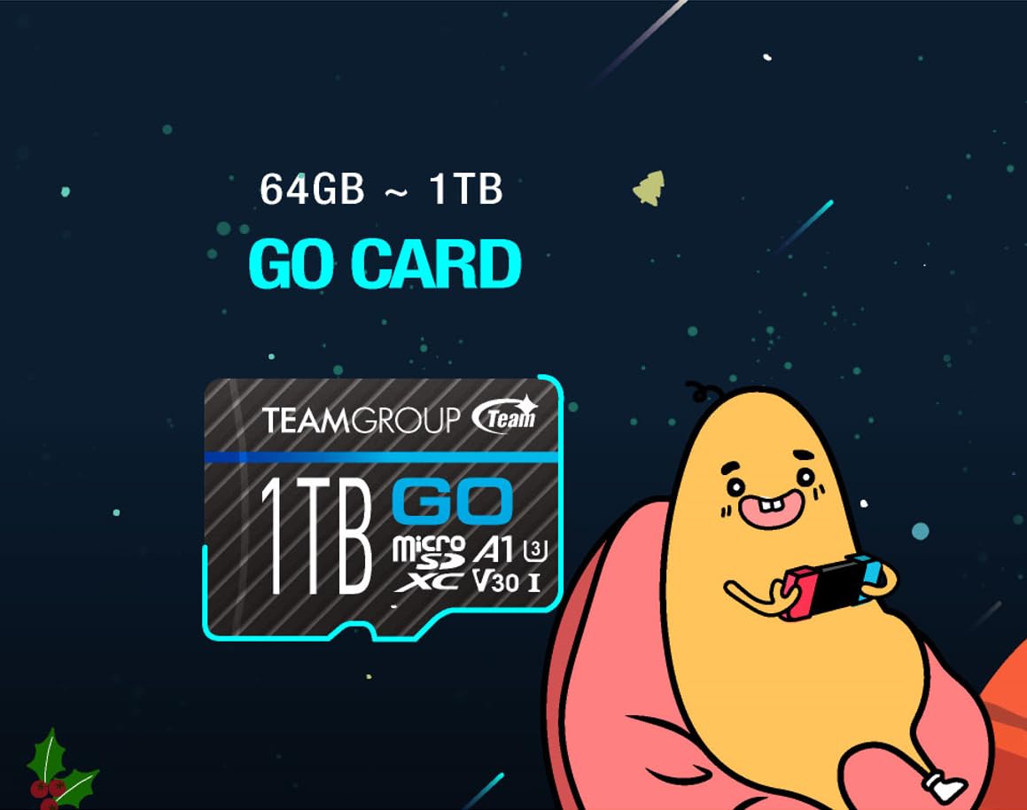 TEAMGROUP GO Card 1TB Micro SDXC UHS-I U3 V30 4K R/W up to 100/90 MB/s for GoPro Action Cameras High Speed Flash Memory Card w/Adapter for Outdoor Sports 4K Shooting GoPro Insta360 TGUSDX1TU303