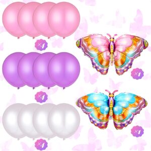 Sumind Butterfly Birthday Party Decoration for Girls Purple Butterfly Party Supply Include Happy Birthday Banner Butterfly Cake Topper Butterfly Hanging Swirl Foil Latex Balloon Paper Pom Pom