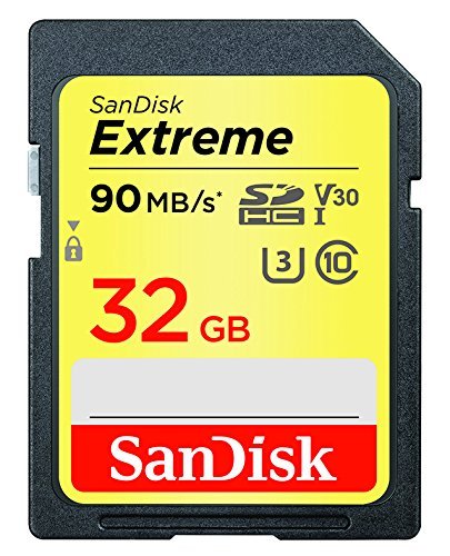 SanDisk Extreme 32 GB SD Card (2 Pack) Speed Class 10 UHS-1 U3 C10 4K 32G SDHC Memory Cards for Compatible Digital Camera, Computer, Trail Cameras