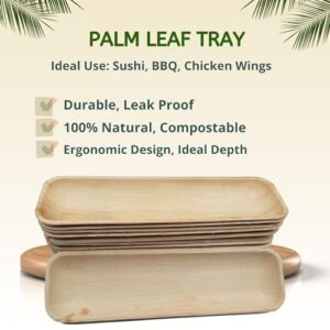 Dtocs Palm Leaf Sushi Tray (10) | 13 x 4 Inch Bamboo Plate Like Disposable Sushi Serving Tray Set, Chicken Wings Serving Tray for Luau, Wedding Parties | Compostable Alternate to Rectangle Paper Plate