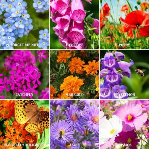 The Old Farmer's Almanac Premium Wildflower Seeds (23 Variety Pollinator Mix) - Non-GMO, Open Pollinated - Columbine Cosmos Foxglove Larkspur Poppy Snapdragon Zinnia... Attracts Butterflies Bees Birds