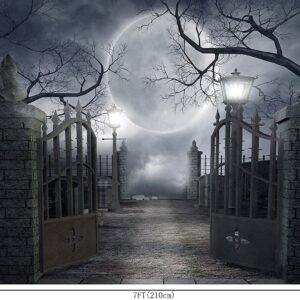 OUYIDA Halloween Night Full Moon Backdrop Gloomy Woods Graveyard Photography Background Horrible Cemetery Spooky Party Banner Halloween Party Decoration Photo Booth Props 7X5FT TP17F