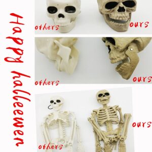 e Crafty 16" Halloween Skeleton,Full Body Skeleton with Posable Movable Joints for Haunted House Props Decorations