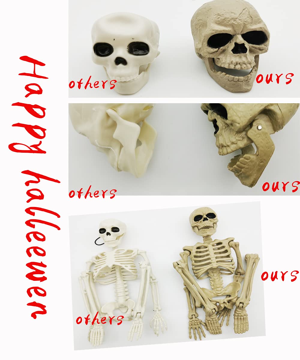 e Crafty 16" Halloween Skeleton,Full Body Skeleton with Posable Movable Joints for Haunted House Props Decorations