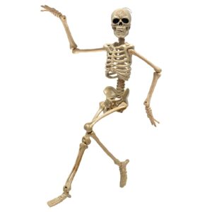 e Crafty 16" Halloween Skeleton,Full Body Skeleton with Posable Movable Joints for Haunted House Props Decorations