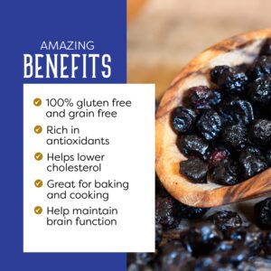 Dried Blueberries No Sugar Added, 2 lbs. Blue Berries Fruit, Dehydrated Blueberries Fresh Dried Blueberries Bulk, Blueberry Raisins. All Natural, Non-GMO, Batch Tested, 2 pounds, By PuroRaw.