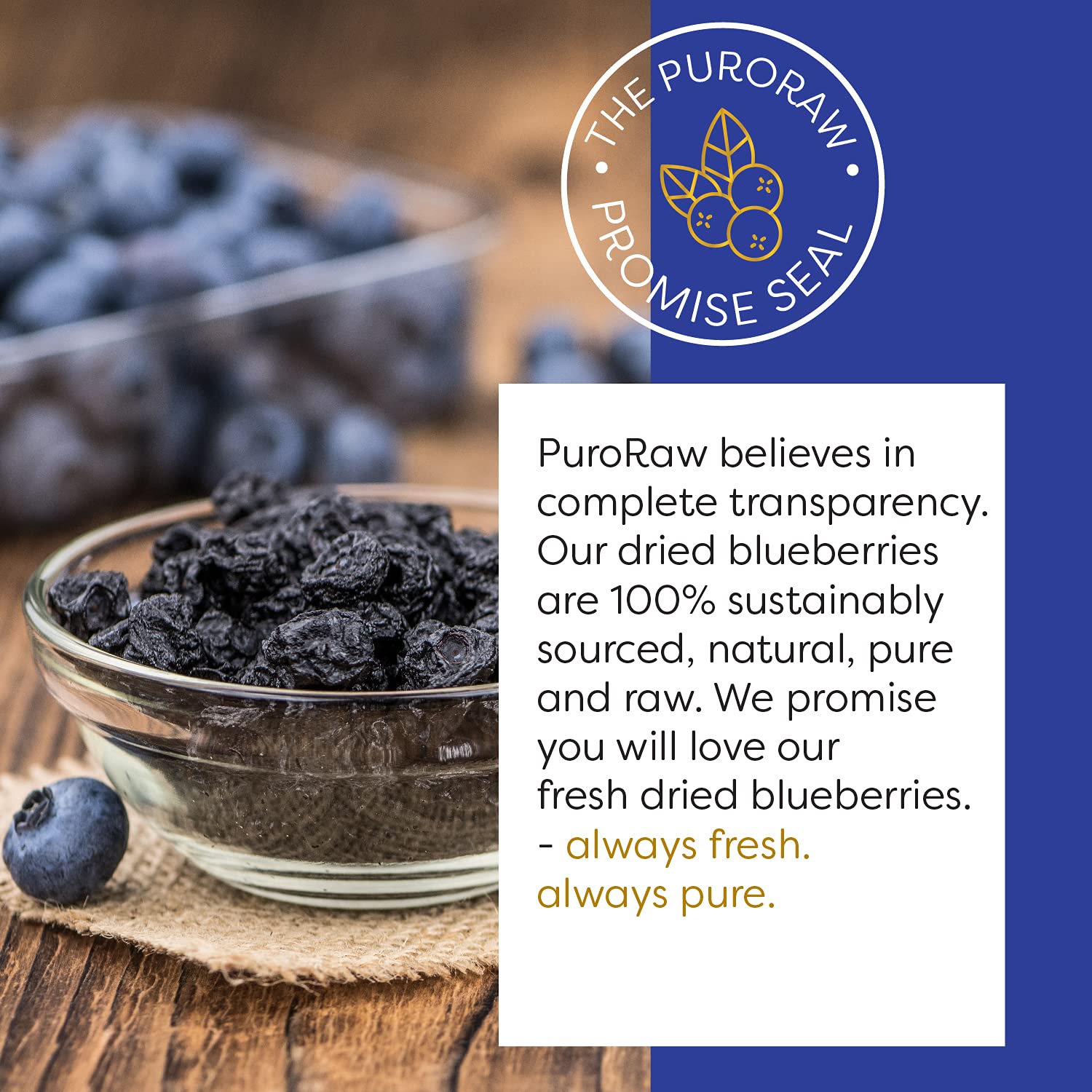 Dried Blueberries No Sugar Added, 2 lbs. Blue Berries Fruit, Dehydrated Blueberries Fresh Dried Blueberries Bulk, Blueberry Raisins. All Natural, Non-GMO, Batch Tested, 2 pounds, By PuroRaw.