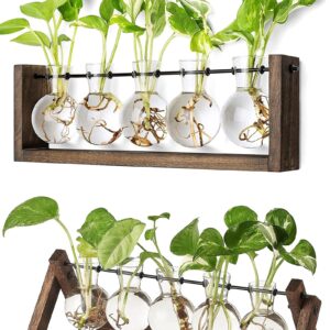 Mkono Plant Terrarium with Wooden Stand, Wall Hanging Glass Planter Desktop Glass Bulb Vase Retro Wooden Holder for Propagating Hydroponics Plants Pothos Home Office Garden Decor